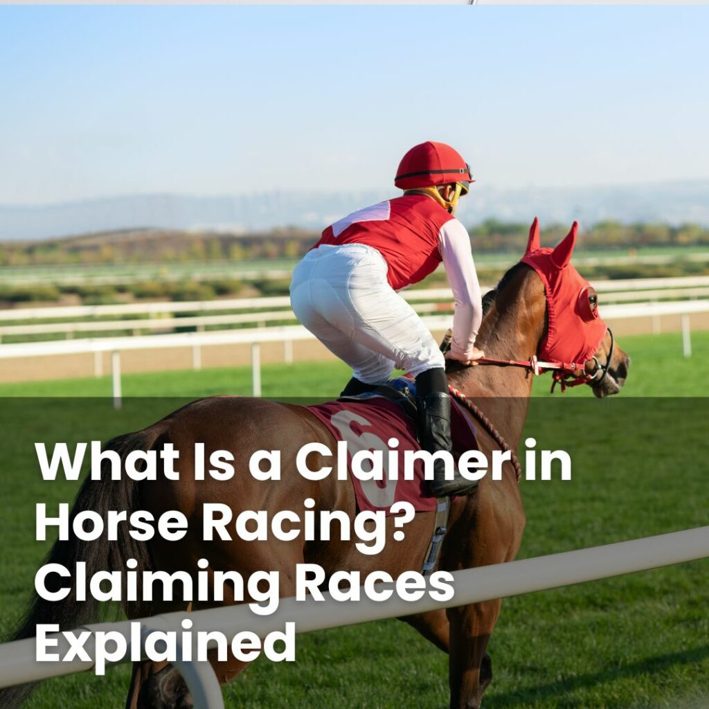 What Is a Claimer in Horse Racing? Claiming Races Explained - Casino Beasts